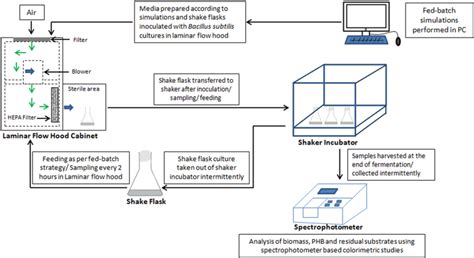 Enhanced Production Of Poly 3 Hydroxybutyrate Using Fed Batch Studies