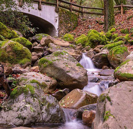 Uvas Canyon County Park Morgan Hill 2020 All You Need To Know