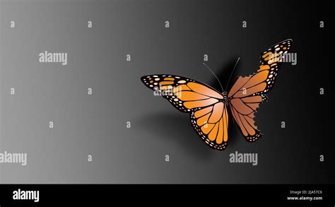 Graphic Design Of Iconic Monarch Butterfly With Wing Scarred With Bite