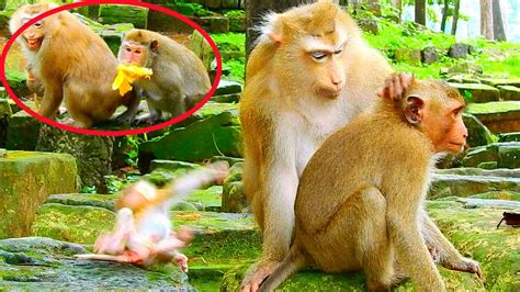 Rose Busy Look After To Brady So Robin Almost Fall To The Ground Youtube