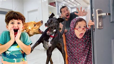 لما ابنك الصغير يجيب كلاب البيت علشان يطفش الجده😂🐕 Youtube
