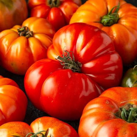 Brandywine Tomato