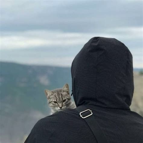 Assef Yazan Assefyazan • Threads Say More