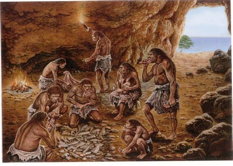 Early Humans Placed The Hearth At The Optimal Location In Their Cave