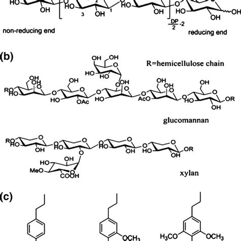 Structure Of Lignocellulose Lauria Et Al 2015 Download Scientific