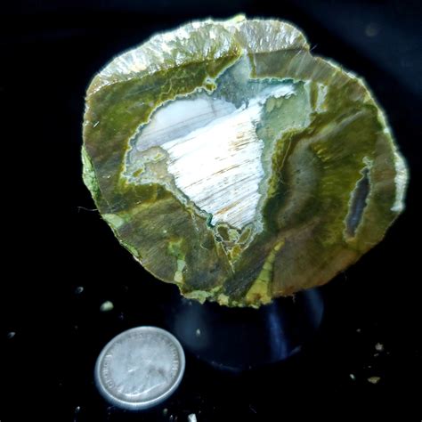 Thunder Egg Specimen M Dan Hurd Prospecting