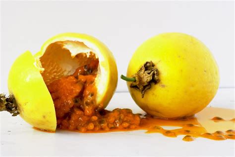 Passion Fruit Varieties Characteristics Types Benefits And Complete