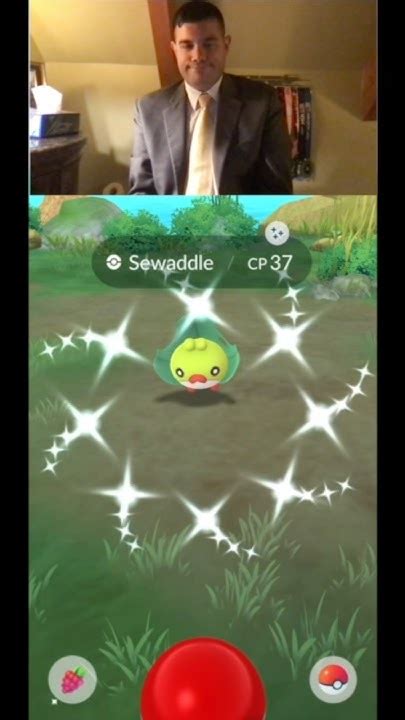 We Caught Shiny Sewaddle PokÉmon Go Shiny Sewaddle Evolves Into Shiny