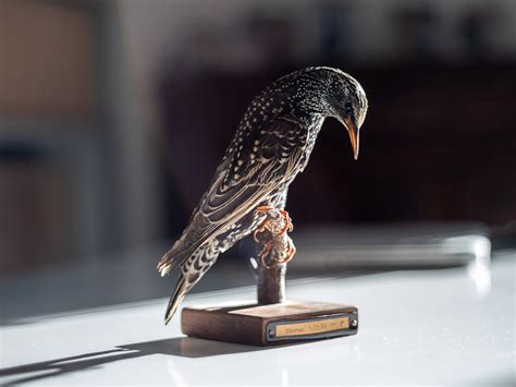 The Spectacle Of Romes Starling Migration Comes At A Messy Cost The