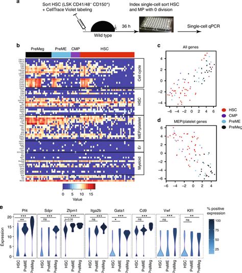 Single Cell Expression Analysis In Undivided Donor Hscs And Mps A