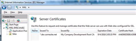 creating a self signed wildcard certificate for iis7