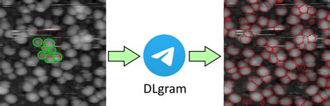 Microscopy Research And Technique Microscopy Journal Wiley Online