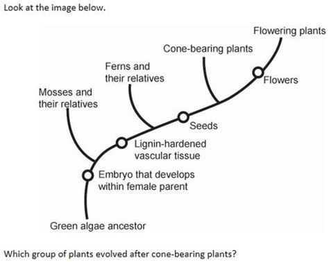 Ch Biology Test Flashcards Quizlet