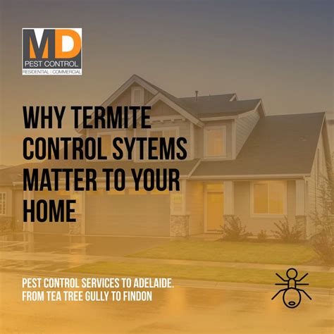 Why Termite Control Systems Are Important To Your Home Md Pest Control