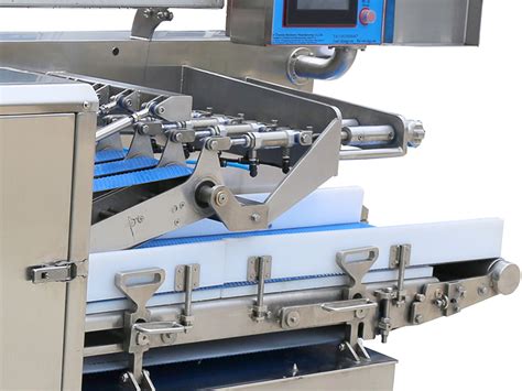 Meat Cube Cutting Machine Food Machines Manufacturer Cum Turn Key Project Planner Helper