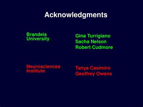 Ppt Synaptic Scaling In The Developing Visual Cortex Powerpoint Presentation Id 504110