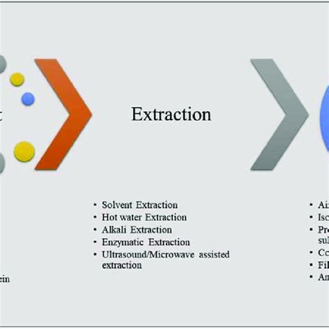 5 Structures Of Beta Glucan From Different Sources Courtesy Du B Download Scientific