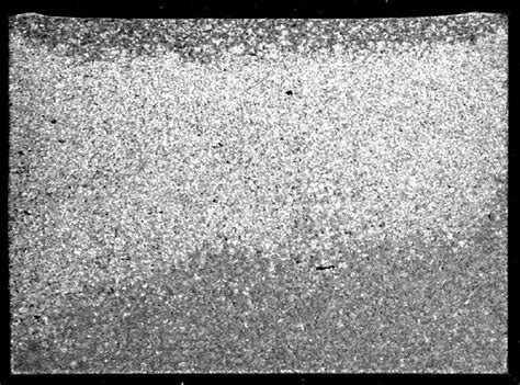 A Macrograph Of The Mounted Cross Section Of An Infiltrated Specimen