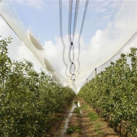 Leno Hail Netting Advanced Protection For Premium Crops