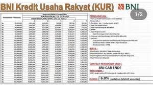 Tabel Cicilan Kur Bni Terbaru Juni 2025 Pinjaman Rp25 Juta Hingga