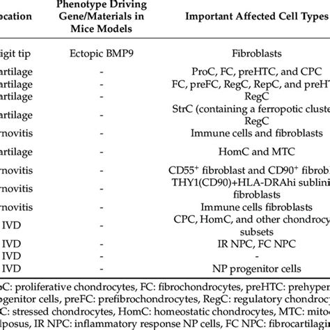 Application Of Single Cell And Spatial Omics To Decode Cartilage Or Download Scientific Diagram