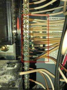 2 Reasons Double Tapped Neutrals Should Be Corrected Wilson Home