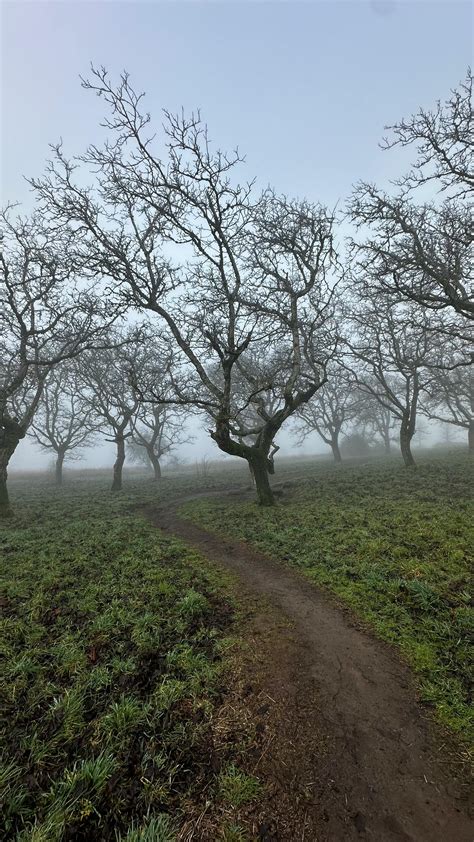 Stephen Mcdaniel Fotografia