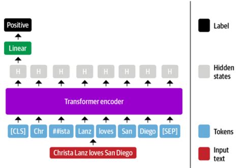 Hugging Face 模型微调系列1—— 实战transfomers文本分类finetune 知乎