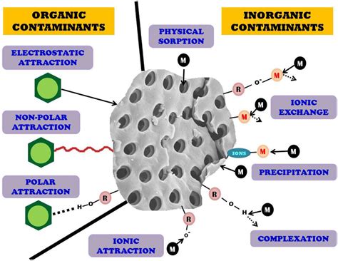 Contaminant Removal By Modified Biochar Download Scientific Diagram