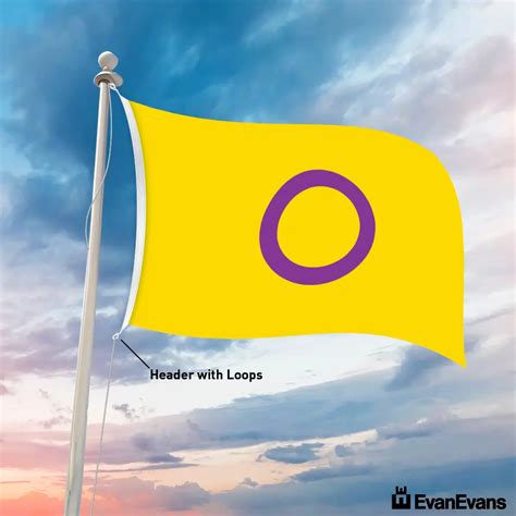 Buy A Pride Flag Knitted Polyester Intersex Pride Flag Evan Evans
