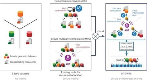 A New Cryptography Framework For Secure Genomic Studies Medical Xpress