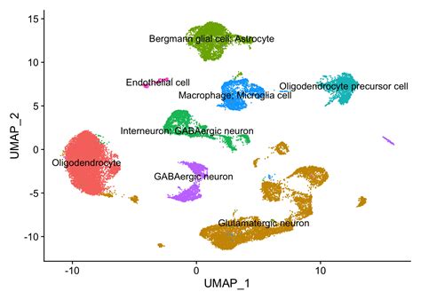 Differential Expression Analysis Using Deseq2 📓 Sivans Blog
