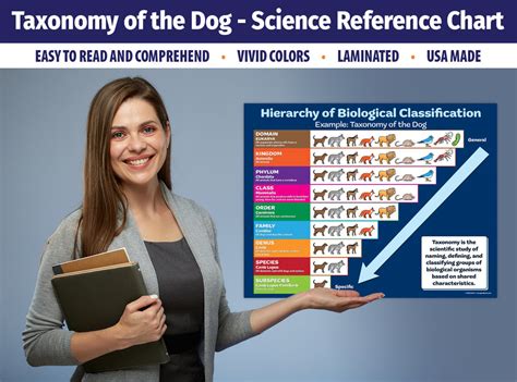 2 Science Poster Pack 17x22 Laminated — Zoco Products