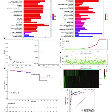 Evaluation Of The Infiltration Level Of Immune Cells Xcell A Download Scientific Diagram