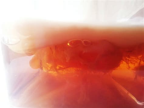 Microbial Cellulose Blueblocks