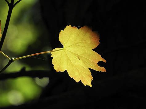 9 1 19 2357 An Itty Bitty Spider Dont Drop The Crystal Ball