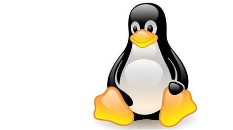 Damn Small Linux 17 Yıl Sonra Geri Dönüyor Ama Artık Eskisi Kadar
