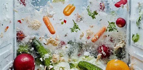 Cómo Contribuye El Congelador A Reducir El Desperdicio De Alimentos