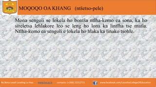 Moqoqo Pptx