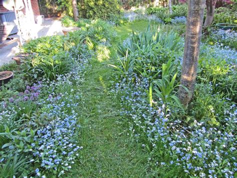Grassy Paths Mowing Grass And Lawn Maintenance Is By Louise Peacock