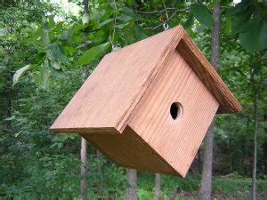 Build A Wren Bird House With Free Plans