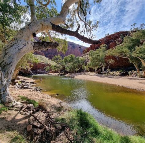 Larapinta Trail An Epic Desert Hike Near Alice Springs
