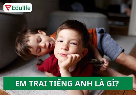 Em Trai Tiếng Trung Từ điển Và Cách Sử Dụng Chi Tiết