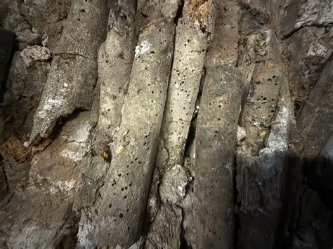 Ancient Technophobe Blipfoto