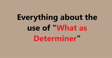 Everything About The Use Of “what As Determiner” Lovhind