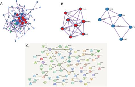 A Two Sample Mendelian Randomization Study Of Basophil Count And Risk