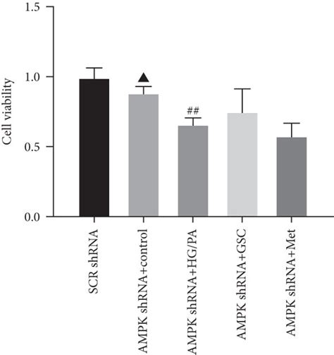 Ampk Inhibition By Shrna Reversed The Effect Of Gsc Extracts Against