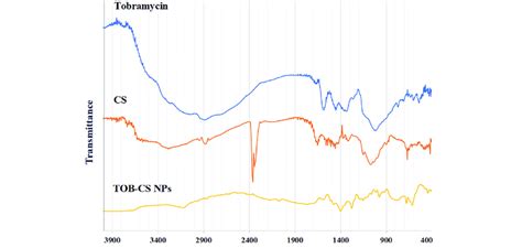 Ft Ir Spectrum Of Tobramycin Tob Chitosan Cs And Tob Cs Nps Download Scientific Diagram