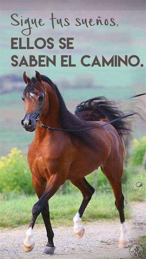 ¡buenos Días Les Deseamos Un Excelente Inicio De Semana Beautiful