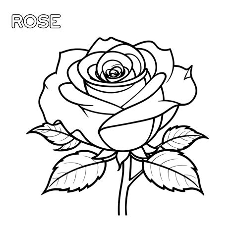 Premium Vector Rose Flower Coloring Page And Outline Vector Design